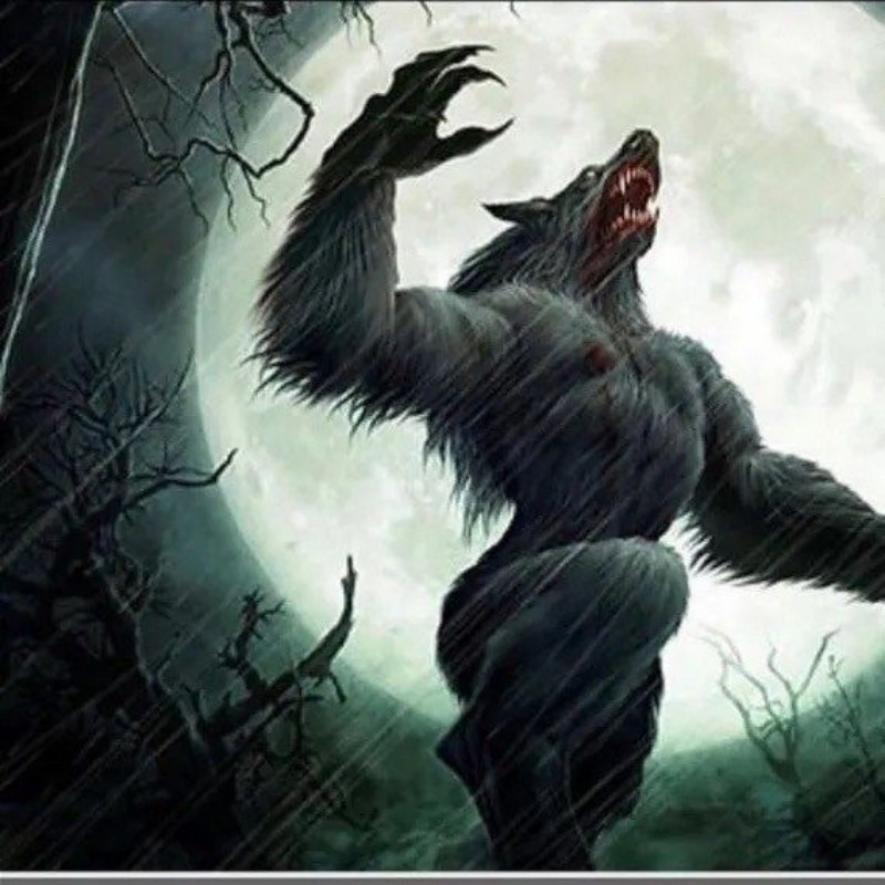 وحش الفهد🎙️🇦🇪🇸🇦 (@wahsh-666) | Snapchat Stories, Spotlight & Lenses