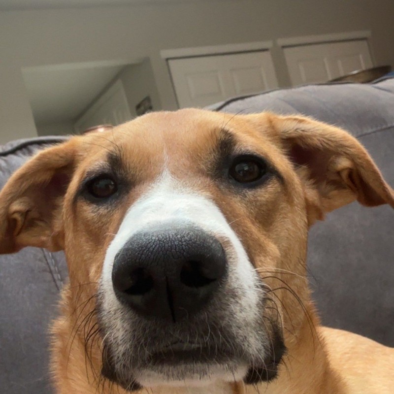 Drew (@waterandfire19) | Snapchat Stories, Spotlight & Lenses