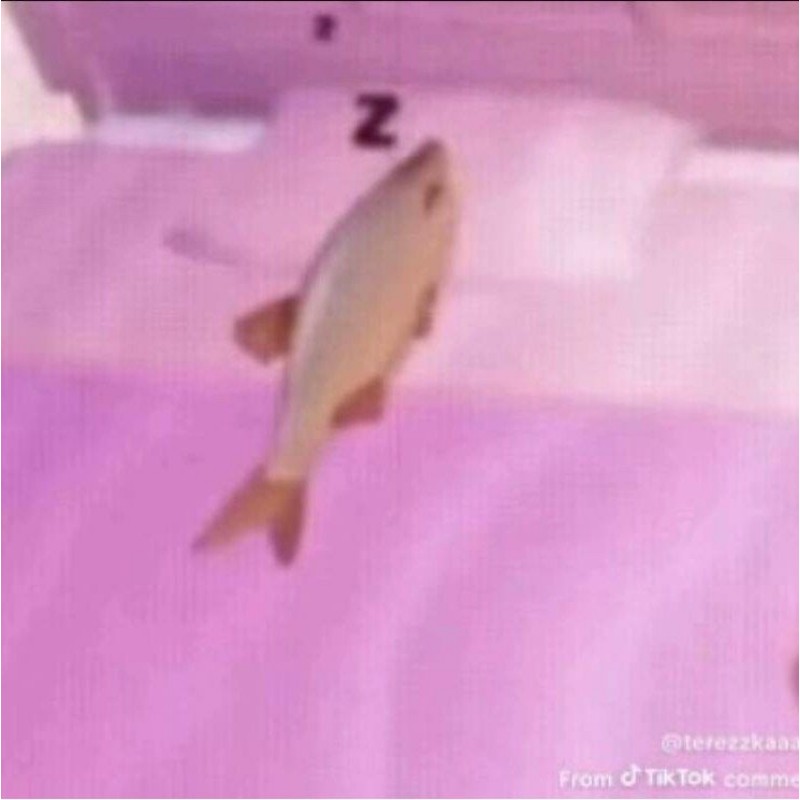 Adelyna Tartu (@weezkas) | Snapchat Stories, Spotlight & Lenses