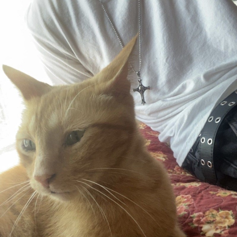 Blake (@whablake) | Snapchat Stories, Spotlight & Lenses