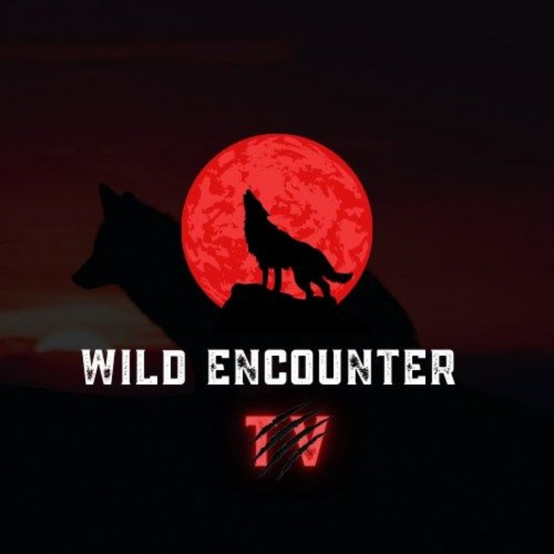 Wild Encounter TV (@wildencountertv) | Snapchat Stories, Spotlight & Lenses