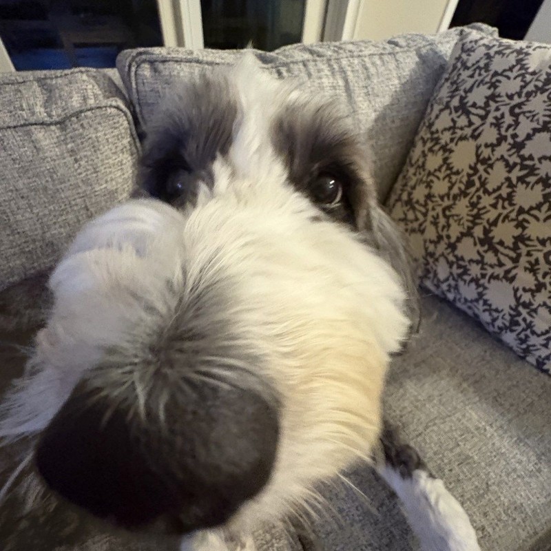 William Shaffer (@williamshaffe25) | Snapchat Stories, Spotlight & Lenses