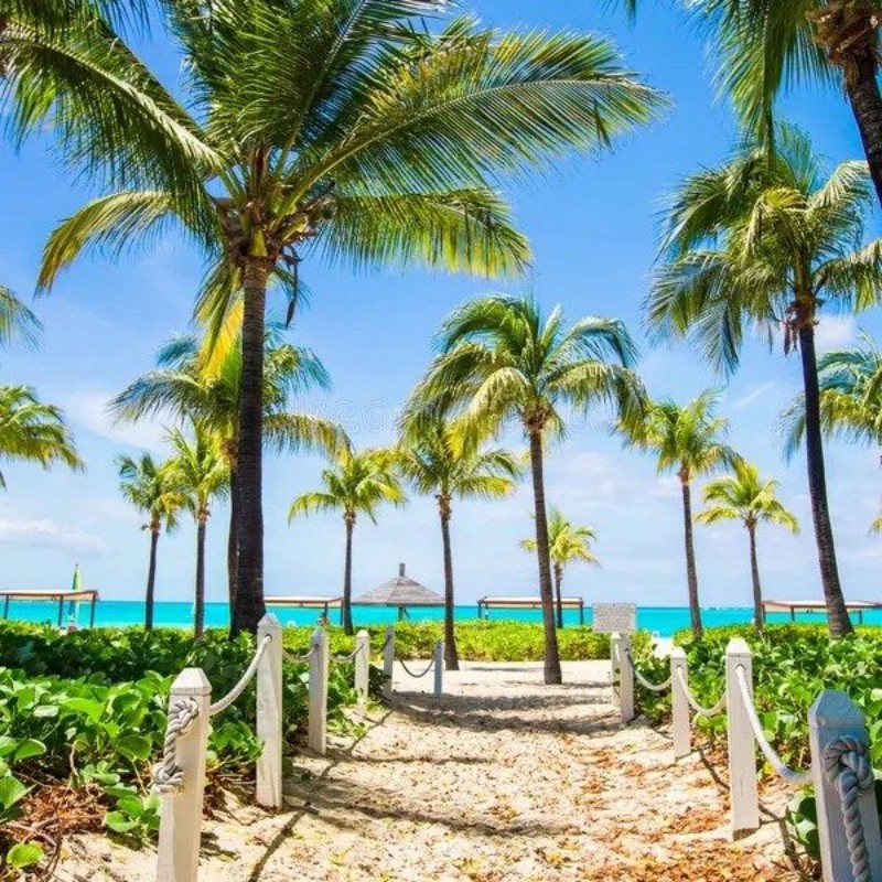 W (@wo-699) | Snapchat Stories, Spotlight & Lenses