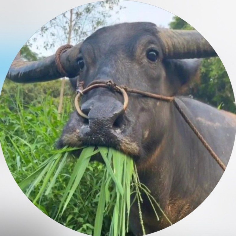 Woodworking Art (@woodworking_art) | Snapchat Stories, Spotlight & Lenses