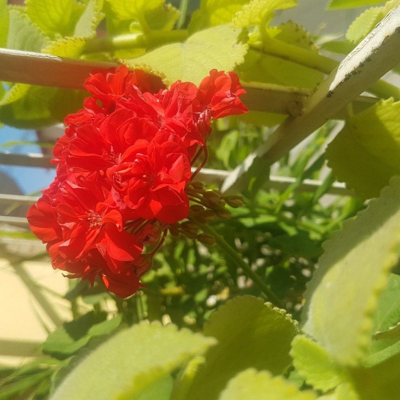 Wymu10 (@wy_mu2021282) | Snapchat Stories, Spotlight & Lenses