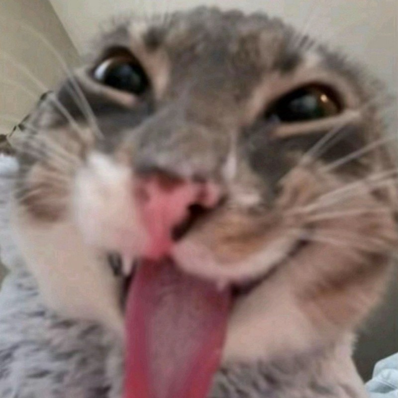 3mor (@x3moor8) | Snapchat Stories, Spotlight & Lenses