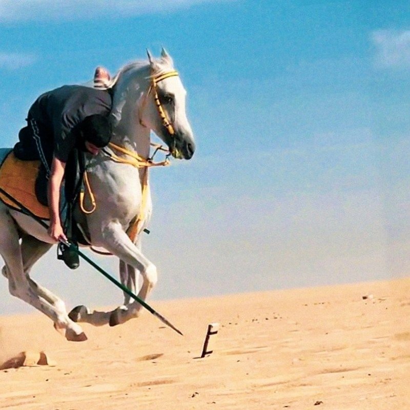 xomo (@x511xomo) | Snapchat Stories, Spotlight & Lenses