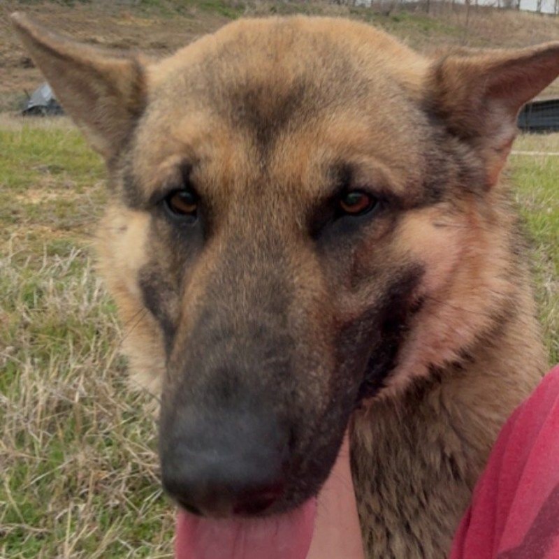 Destructiveweeb (@xxsmokegutsxx) | Snapchat Stories, Spotlight & Lenses