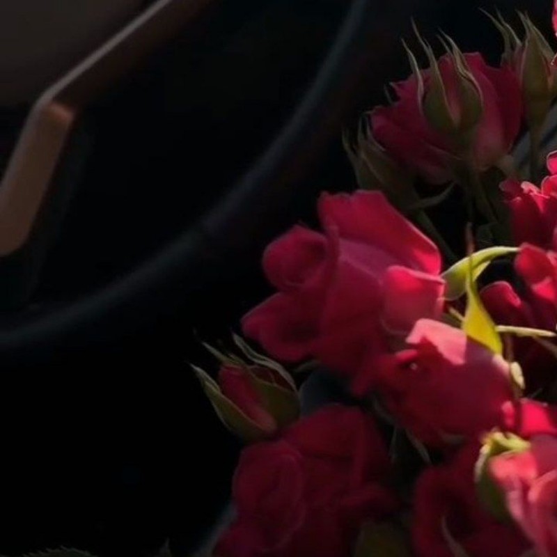 Yass.Mine (@yassmiinou) | Snapchat Stories, Spotlight & Lenses