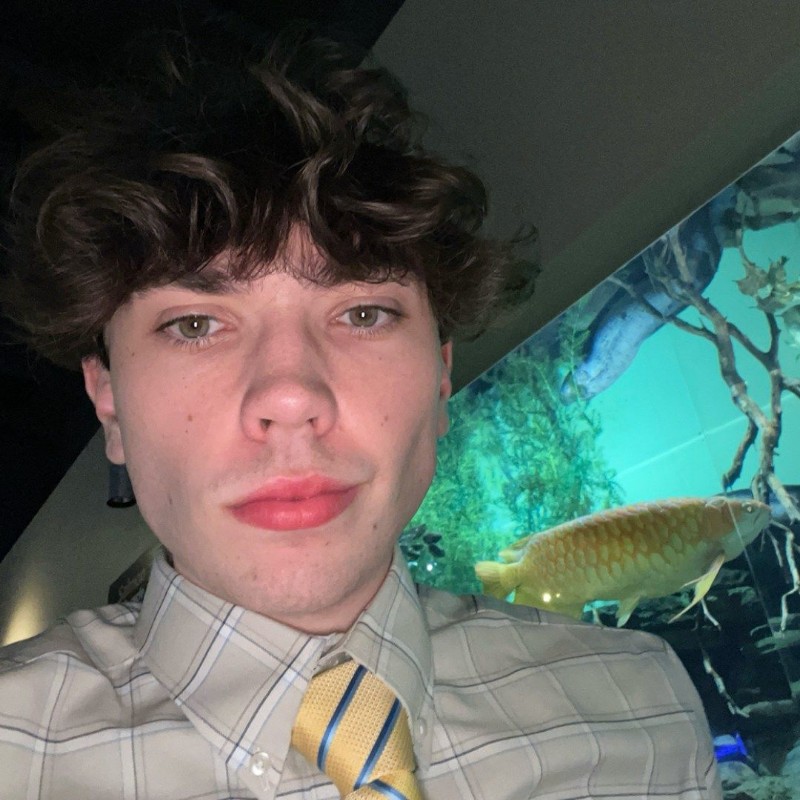 yeSloth (@yeslothnew) | Snapchat Stories, Spotlight & Lenses