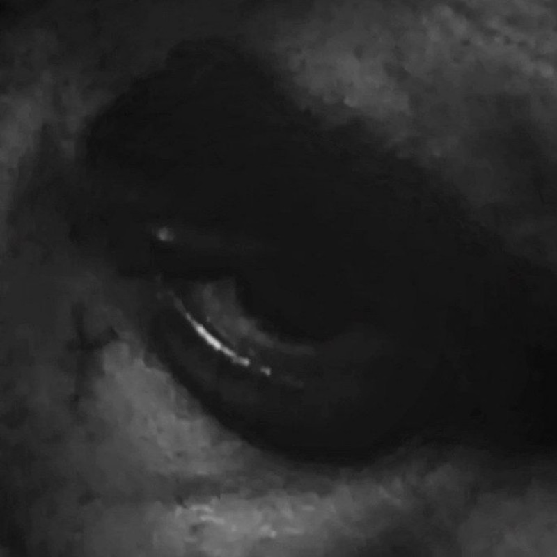 YT Money (@ytmoney2.0) | Snapchat Stories, Spotlight & Lenses