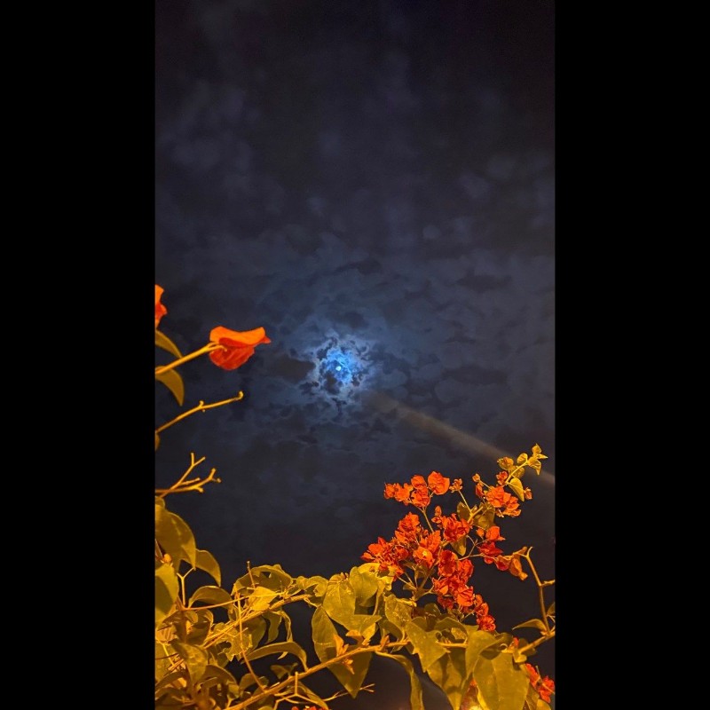 Nawaf (@yyh-q) | Snapchat Stories, Spotlight & Lenses