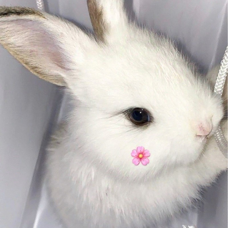 Zeenu🫶 (@zeenu_khan1749) | Snapchat Stories, Spotlight & Lenses