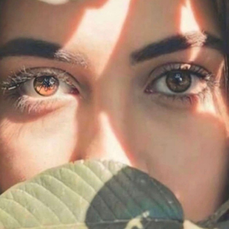 Zoha 📸 (@zoha_photo) | Snapchat Stories, Spotlight & Lenses