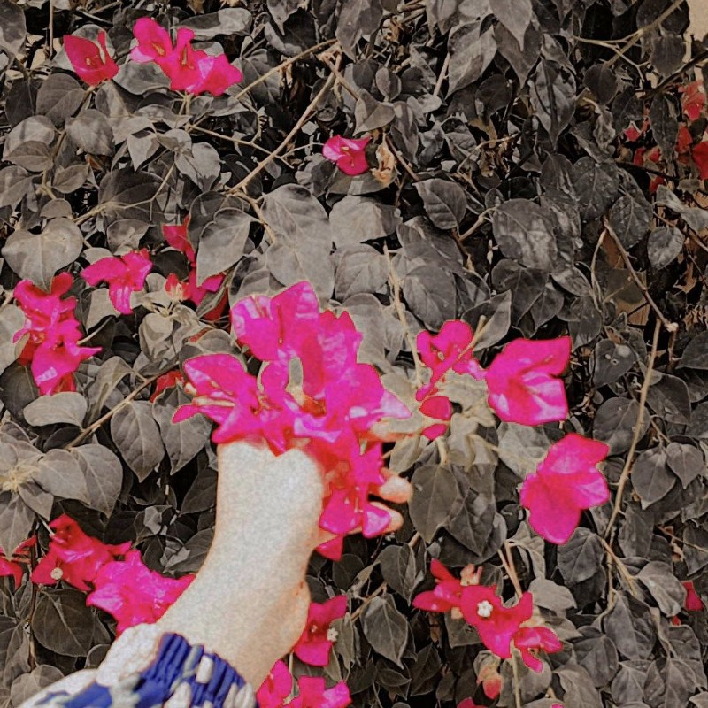 Zuni💟💐👑 (@zuni257089) | Snapchat Stories, Spotlight & Lenses