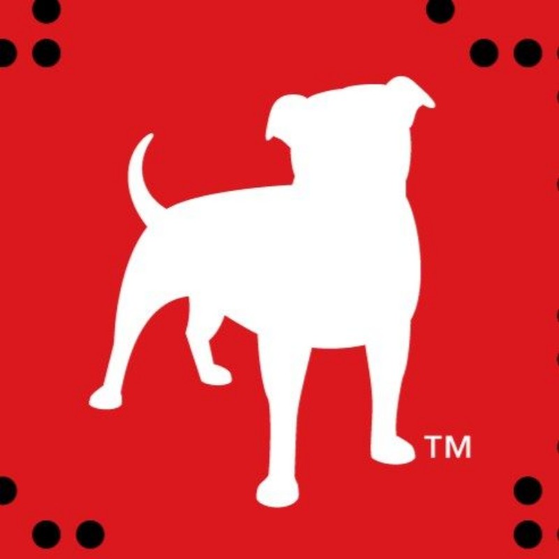 Zynga (@zynga) | Snapchat Stories, Spotlight & Lenses